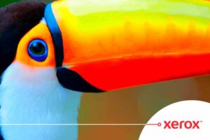 Colores fluorescentes, nueva tendencia en impresión digital